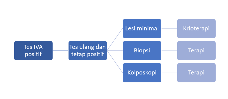 Hasil IVA Positif: Apa yang Perlu dilakukan Setelahnya?